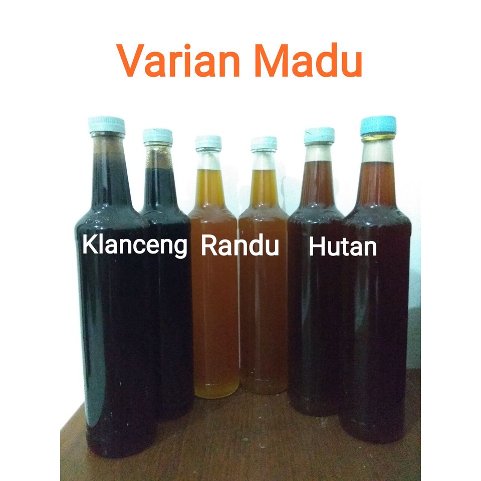Jual Madu Hutan 450ml | Shopee Indonesia