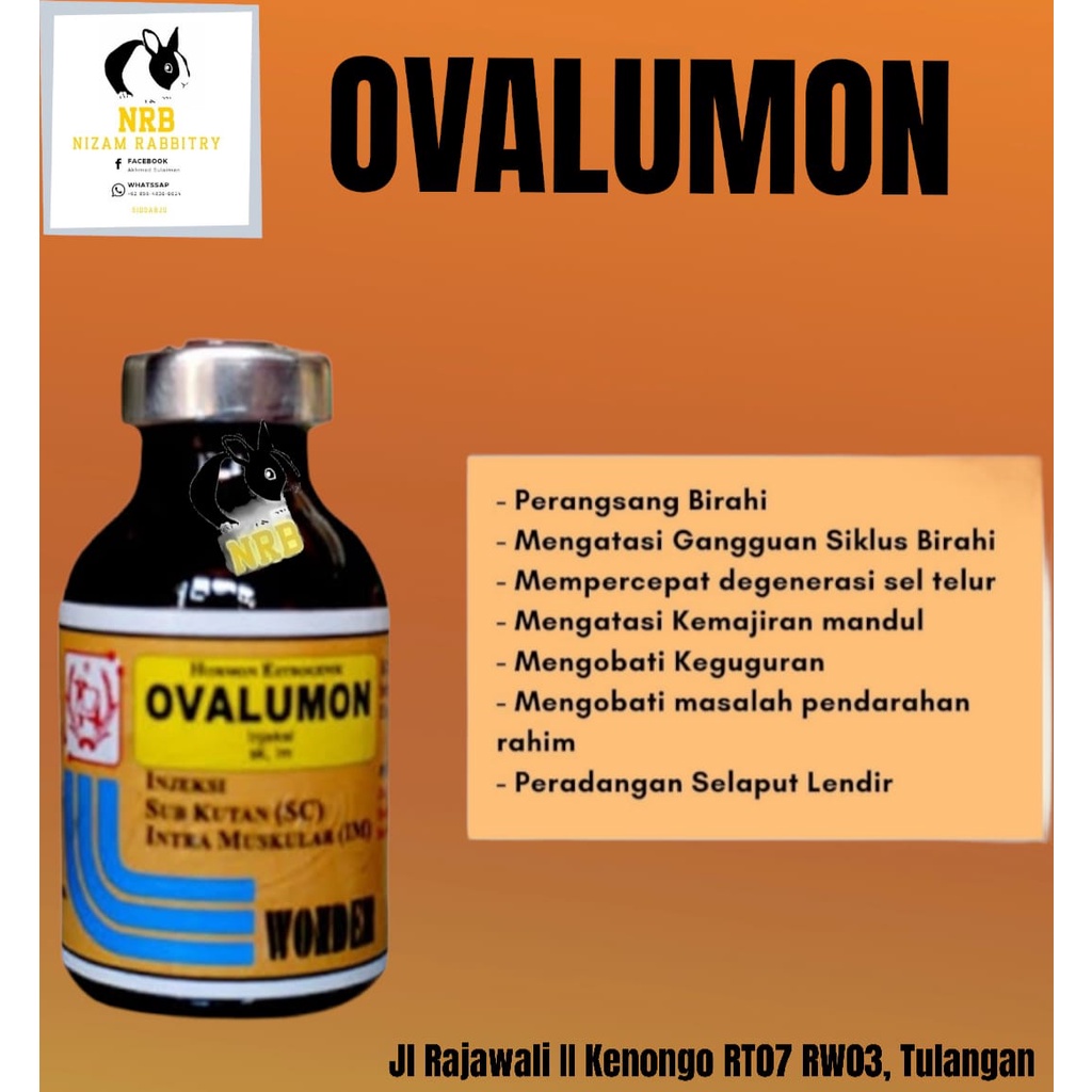 Jual OVALUMON 20 ml - Hormon Estradiol Pemacu Birahi Hewan Betina ...