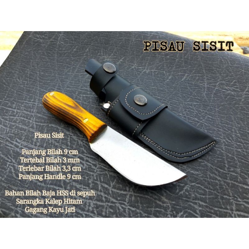 Jual Pisau Raut / Pisau Dapur Kecil / Pisau Skinner Survival | Shopee ...