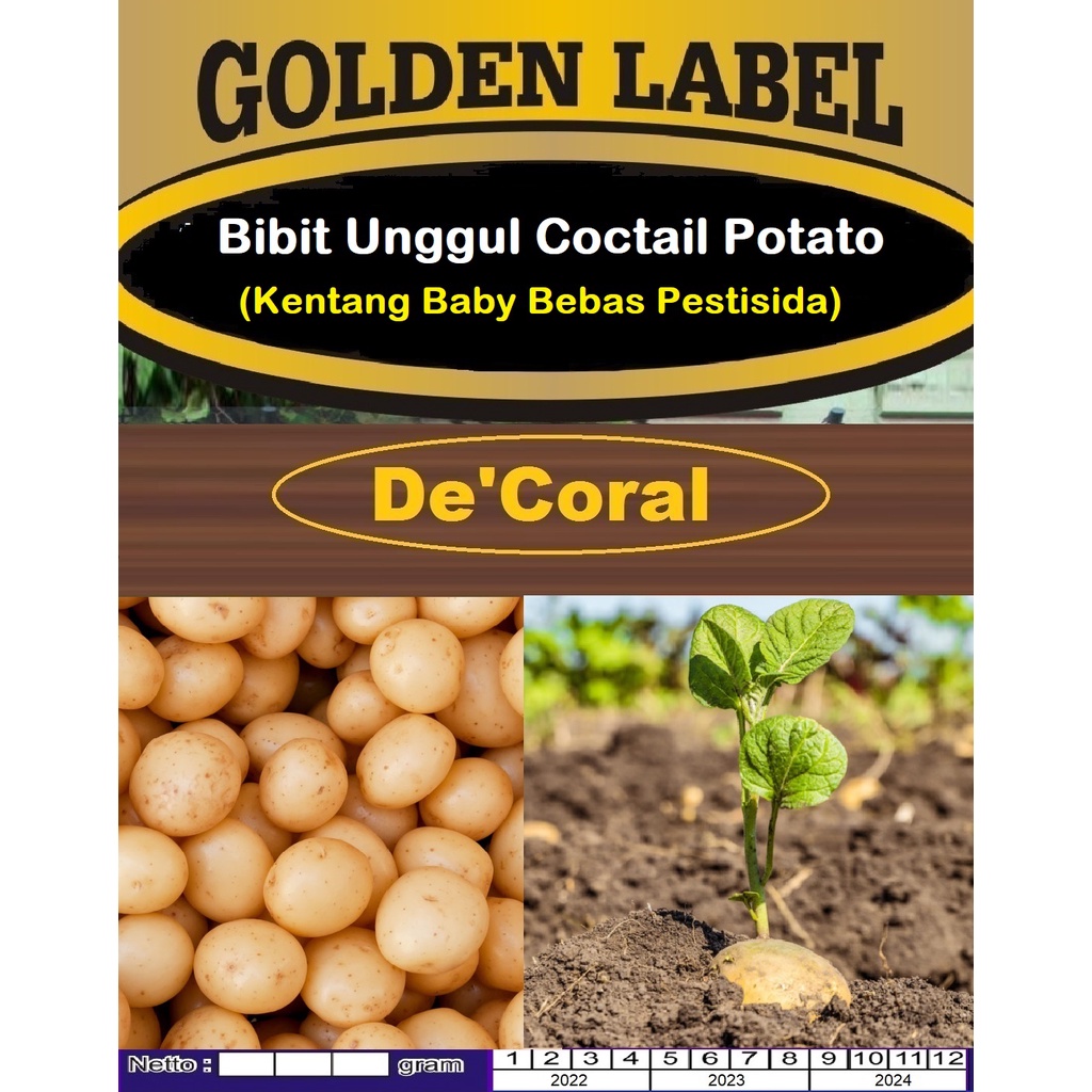 Jual Bibit Unggul Coctail Potato | Bibit Kentang Baby Bebas Pestisida ...