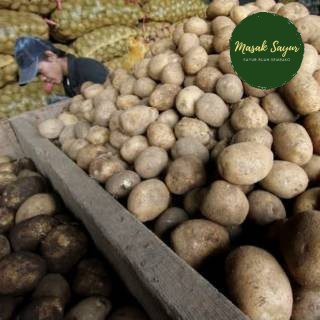 Jual Kentang Besar Segar Bandung 1kg | Shopee Indonesia