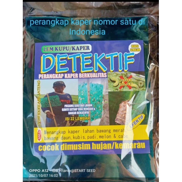 Jual LEM KUPU/KAPER (LEM DETEKTIF) | Shopee Indonesia