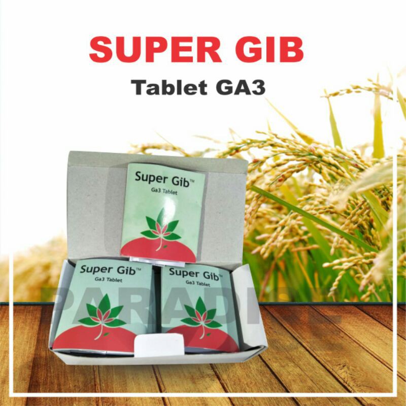 Jual 1 Box ZPT Super Gib SUPERGIB tablet GA3 GA 3 ORIGINAL ASLI ...
