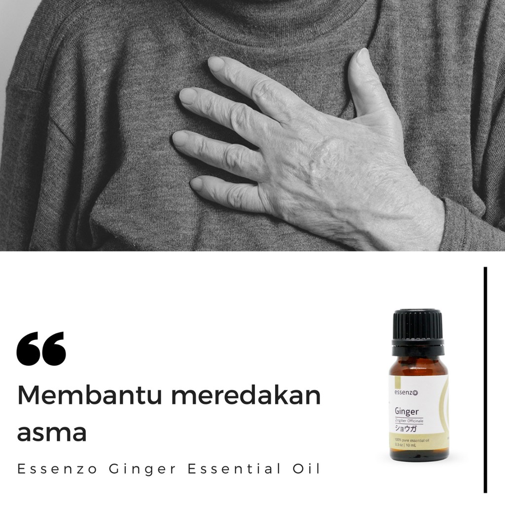 Jual Essenzo Essential Oil Ginger Meredakan Asma, Gangguan Pernapasan Masuk Angin Daya dengan ...
