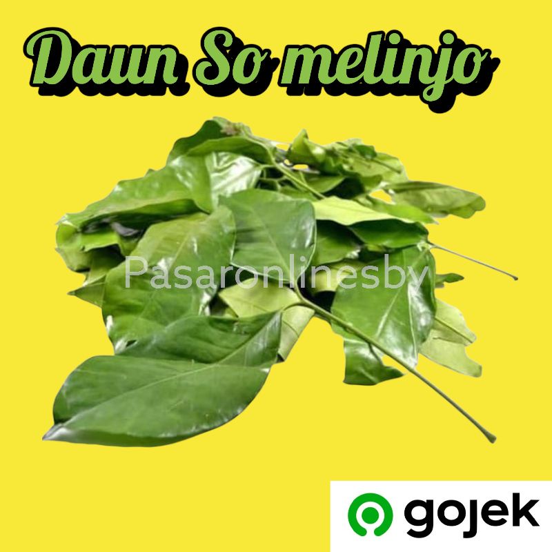 Jual PASAR GUBENG - Daun Melinjo / Daun mlinjo /Daun So - Per Pack ...