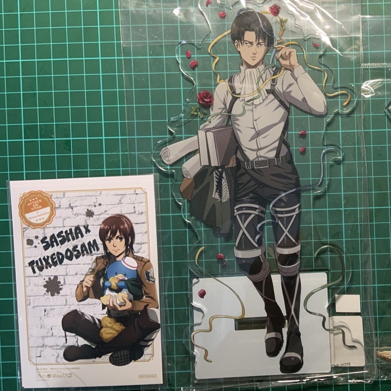 Jual standee levi booked | Shopee Indonesia