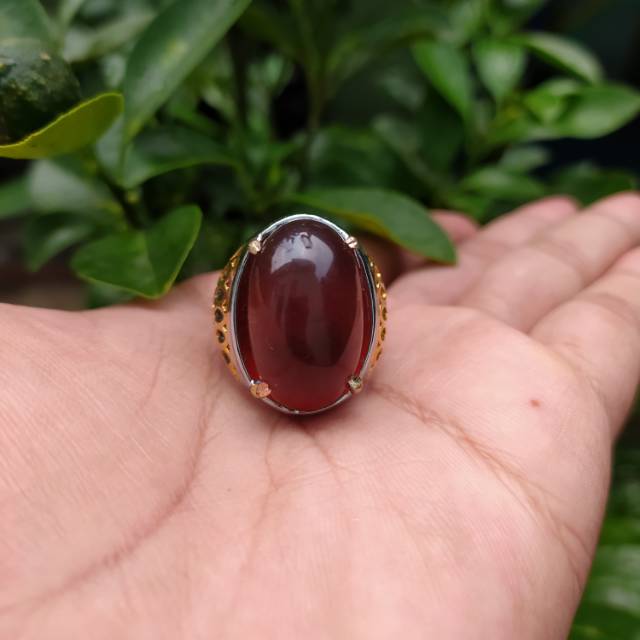 Jual Cincin getah katilayu amber merah (N) | Shopee Indonesia