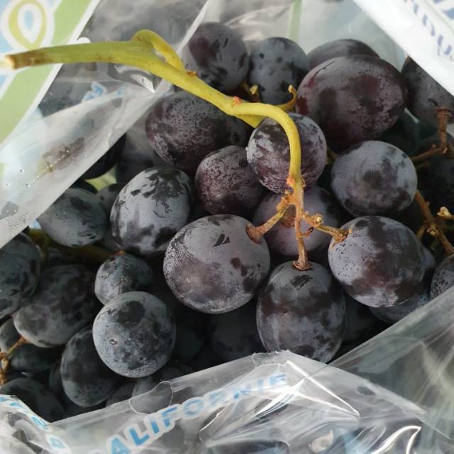 Jual Buah Anggur Hitam Autumn Seedless Grapes Fresh Per Pack | Shopee ...