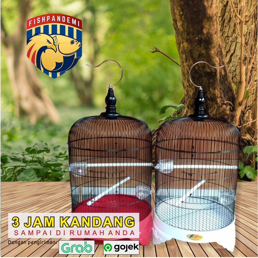 Jual Kandang Lovebird Kenari Pleci Kenari Perkutut Jalak Kebo FULL SET ...