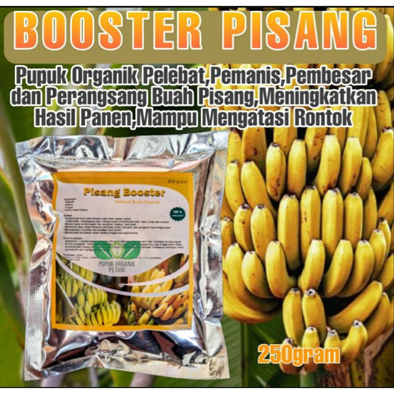 Jual Pupuk Organik Penyubur Pisang,Pupuk Organik Perangsang Pisang Agar Cepat Berbuah Lebat ...