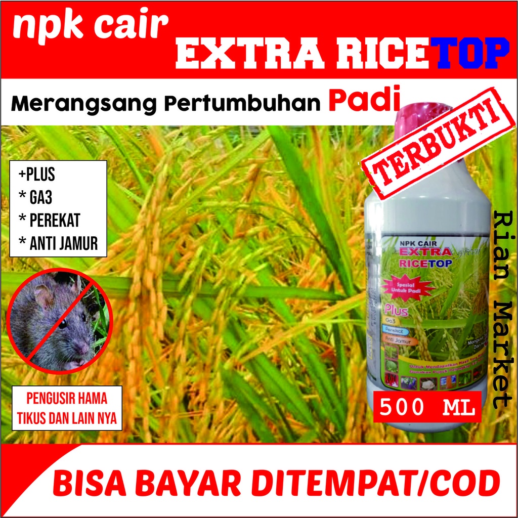 Jual Extra Ricetop Fungisida Penambah Bobot Padi berisi dan Kendalikan Hama Tikus - Pupuk Npk ...