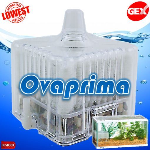 Jual Gex RokaBoy S Filter Aquarium | Shopee Indonesia