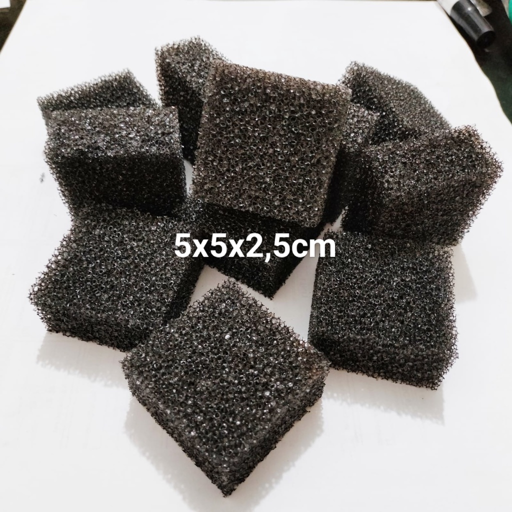 Jual Bio foam Bioblock Media Filter / Trickle filter 5x5x2,5cm | Shopee ...