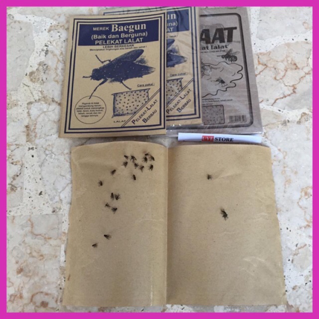Jual LEM LALAT KERTAS AMPUH / FLY CATCHER / LEM LALER Z0033A | Shopee ...