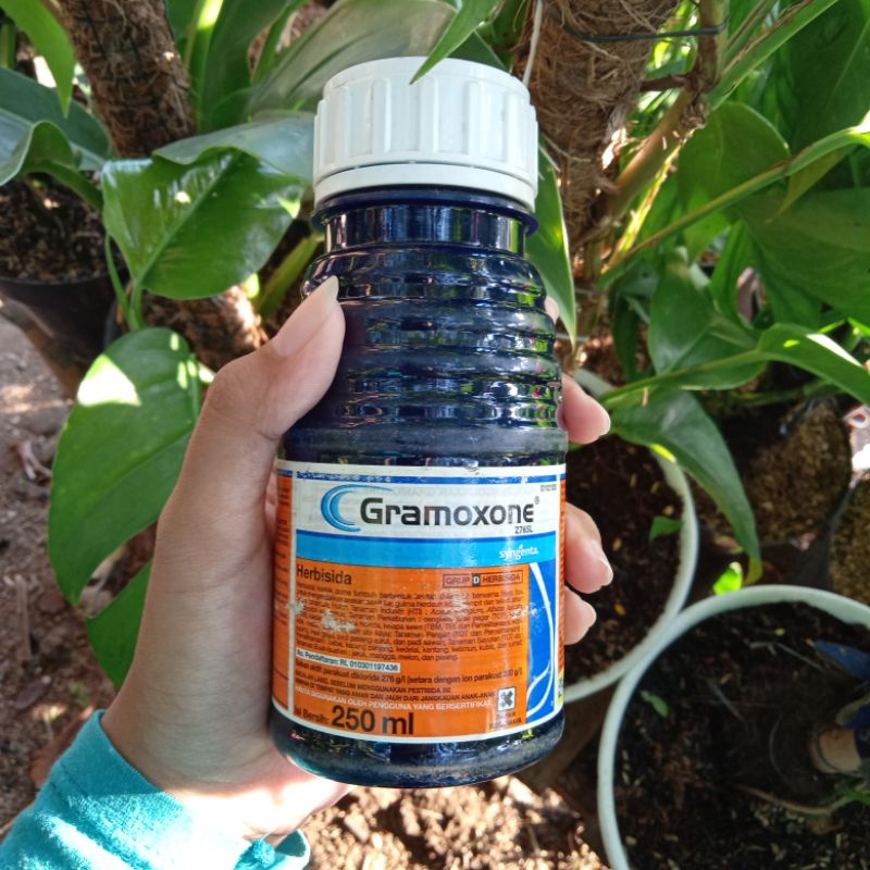 Jual Racun / Herbisida Pembasmi Rumput Liar Gramoxone 276 SL 250 ml ...