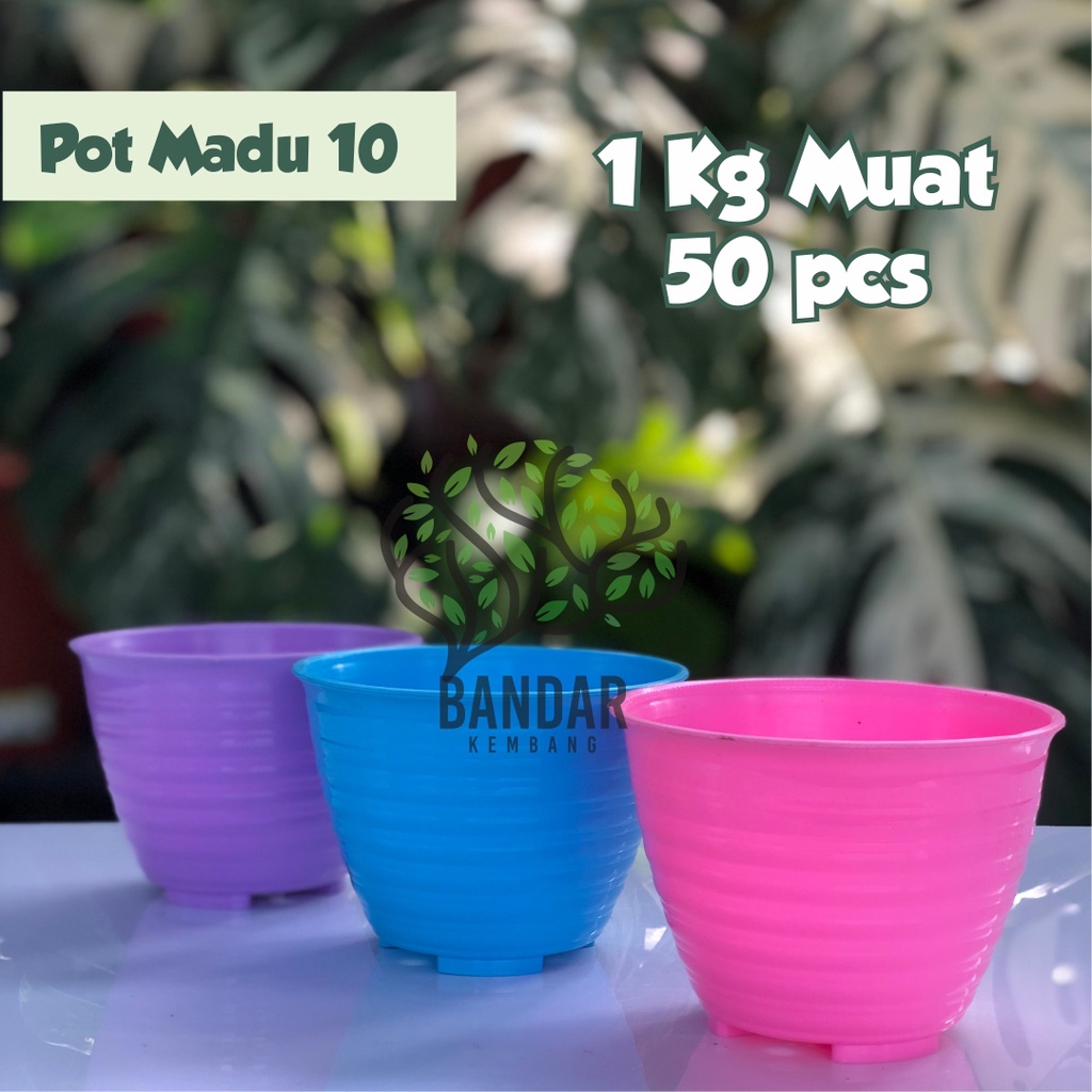 Jual Pot Madu 10 Warna Warni Pot Plastik Tebal Cantik Mirip Pot Tawon ...