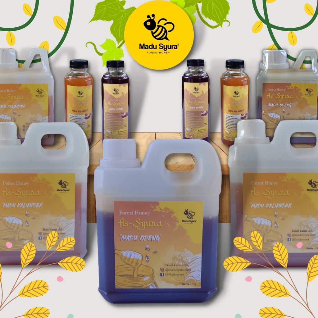 Jual Madu Hutan Asli (1Kg, 500Gr, 340Gr) - Madusyura 100% Forest Honey ...