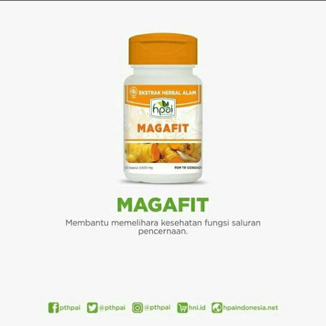 Jual Obat maag / obat saluran pencernaan / herbal ampuh / Magafit HNI ...