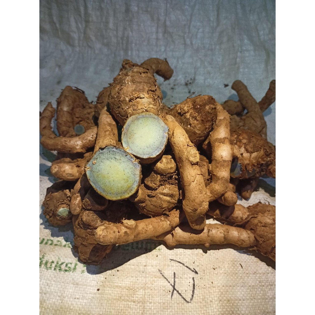 Jual TEMU IRENG SUPER 1 KG SEGAR ALAMI TUA (COD) | Shopee Indonesia