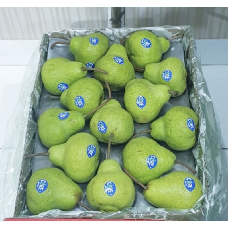 Jual Pear Packam Pir Hijau Jambu [ 3 pcs ] | Shopee Indonesia
