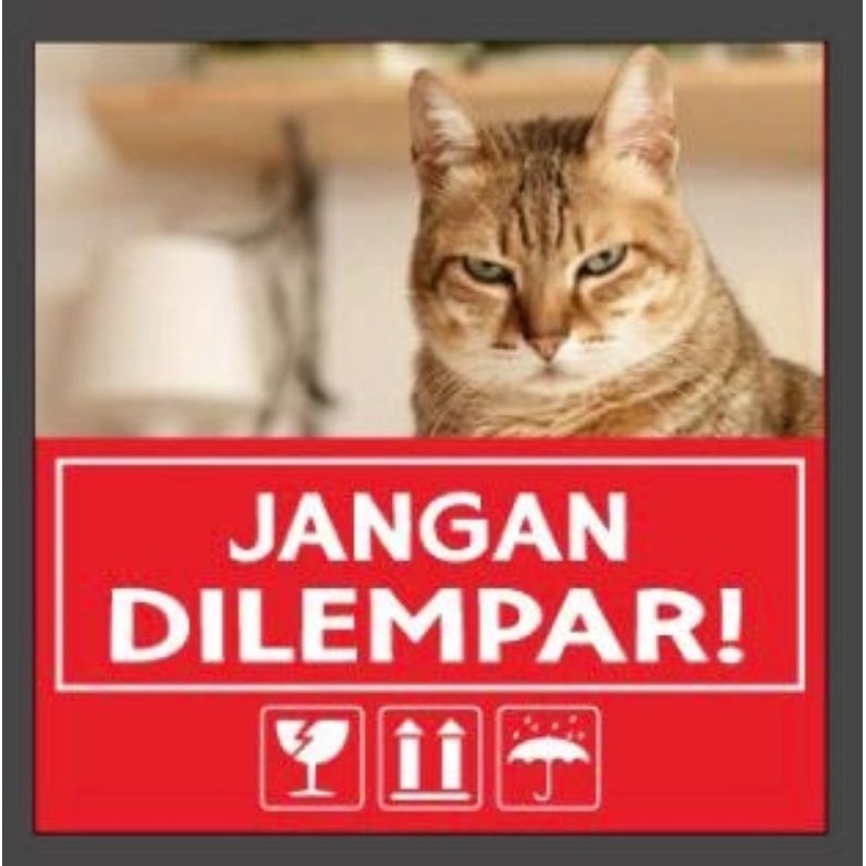 Jual STIKER FRAGILE LUCU UNIK KOREA / STICKER FRAGILE CUSTOM KPOP ...