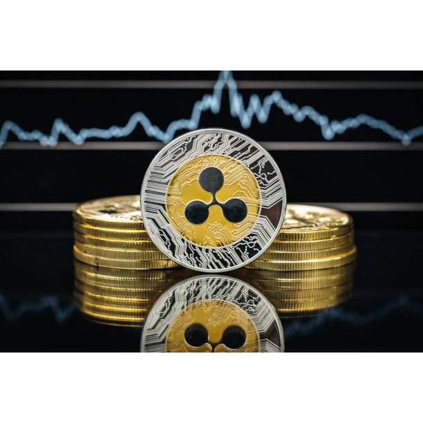 Jual Coin Koin Fisik Crypto Seni Doge Ethereum Shiba Ripple Bitcoin ...