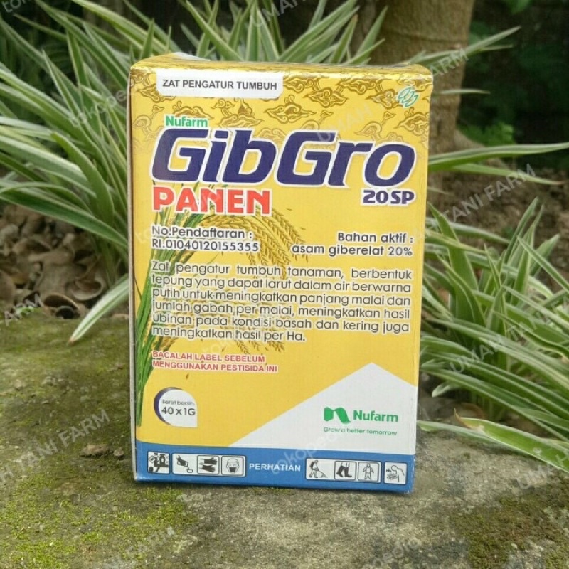 Jual ZPT GibGro Panen 20 SP | Shopee Indonesia