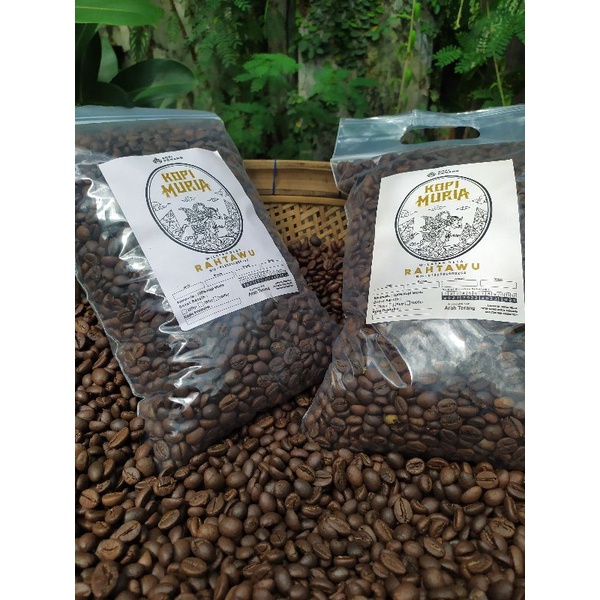 Jual KOPI MURIA / KOPI ROBUSTA / KOPI PETIK MERAH (kopi robusta muria ...