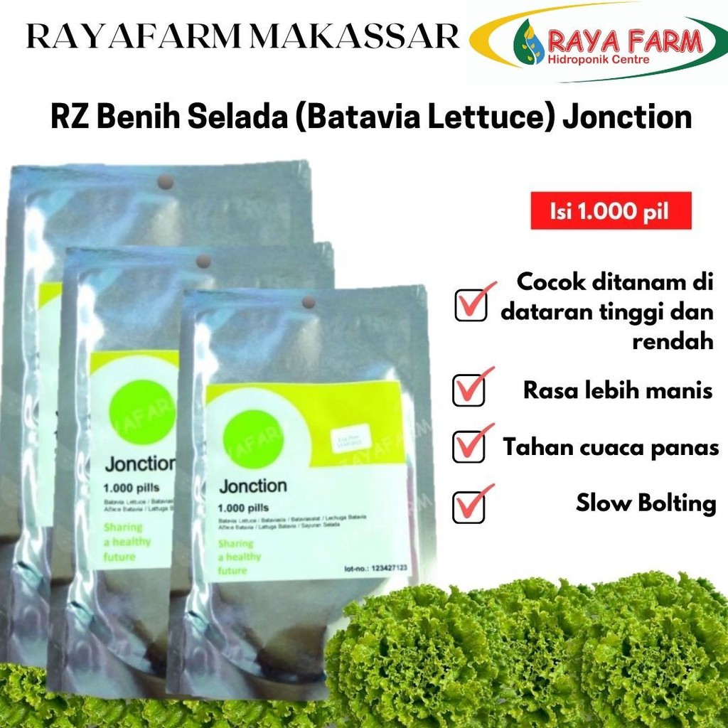 Jual BENIH SELADA JONCTION REPACK 100 PILLS | Shopee Indonesia