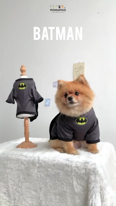 Jual POMAPOO - Kostum Kucing dan Kostum Anjing Batman | Shopee Indonesia