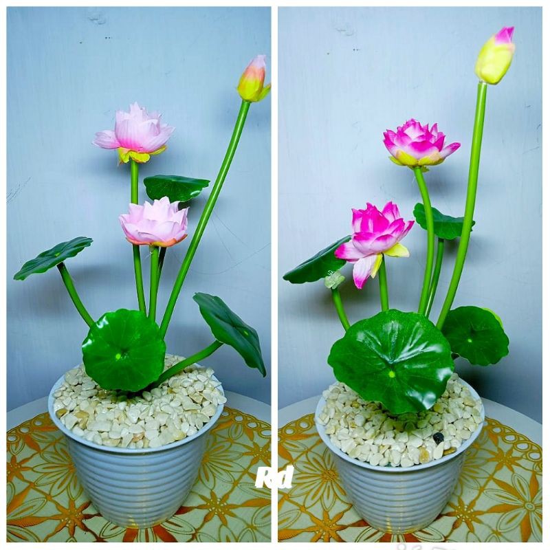 Jual Bunga teratai plastik/Teratai plastik/teratai imitasi/teratai ...