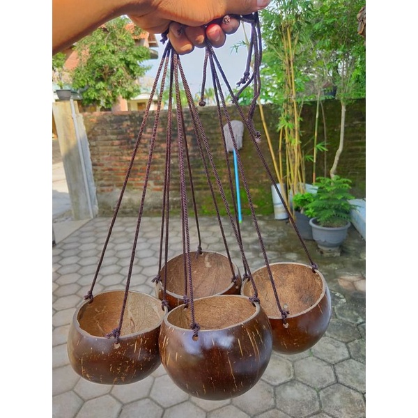 Jual pot gantung batok kelapa murah | Shopee Indonesia