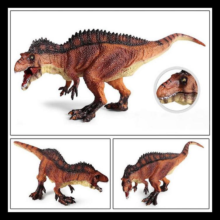 Jual Update! Acrocanthosaurus Figure Dinosaurus Model Simulasi Dino ...