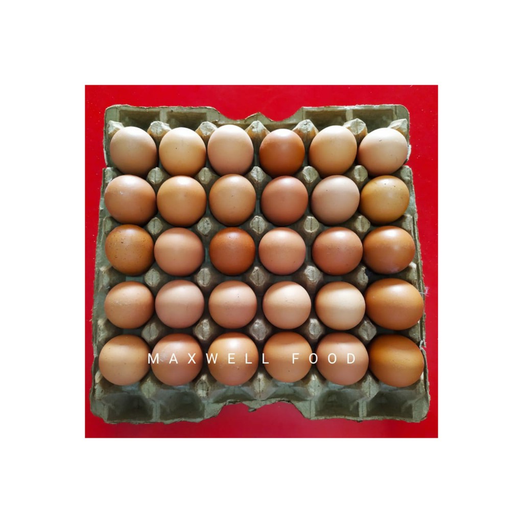 Jual TELUR AYAM NEGRI (30PCS) | Shopee Indonesia