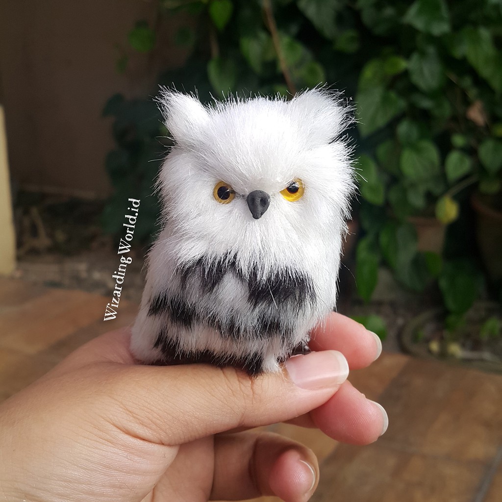 Jual Miniatur Owl Pigwidgeon Harry Potter Hedwig Pajangan Decor ...