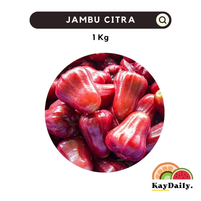 Jual JAMBU CITRA MERAH MADU SEGAR 1 KG | Shopee Indonesia