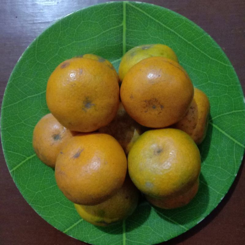 Jual Jeruk Medan 1 kg | Shopee Indonesia