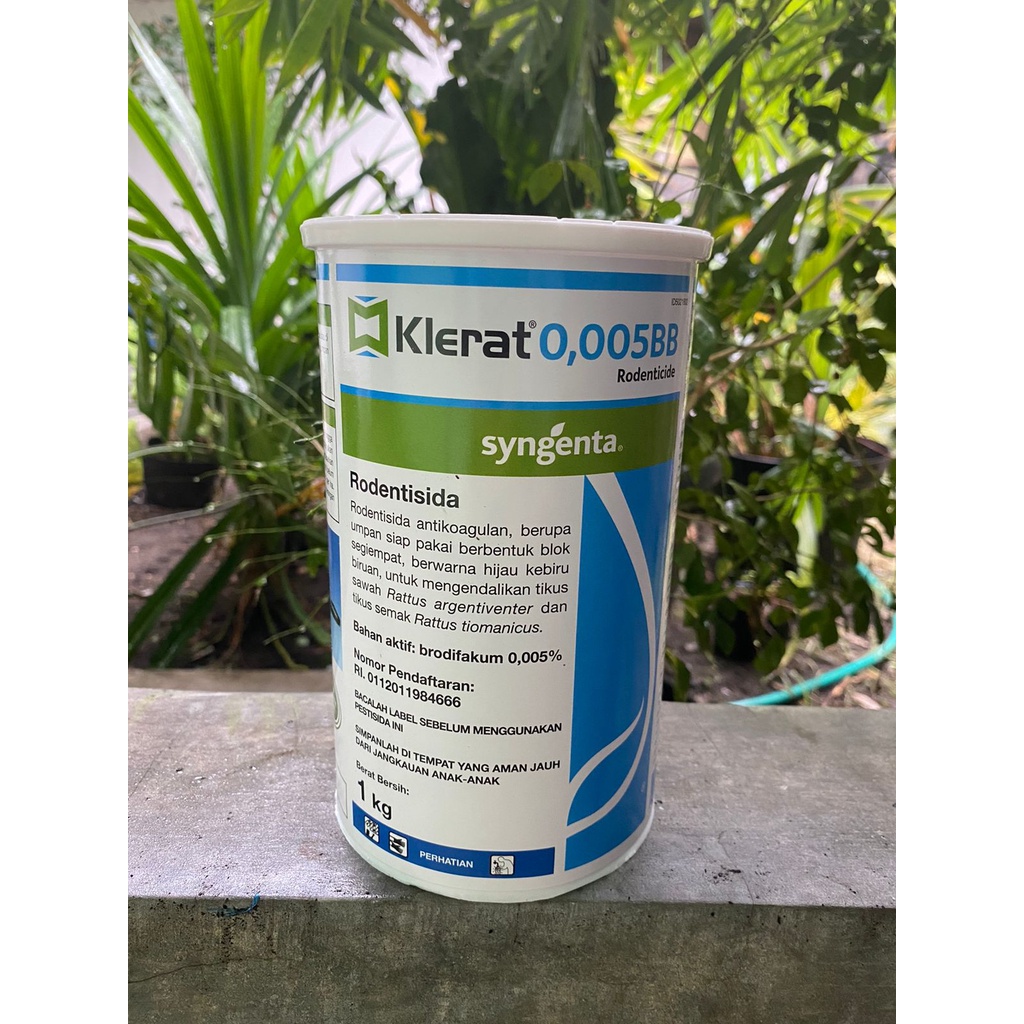 Jual obat racun tikus klerat dr syngenta 1 kg | Shopee Indonesia