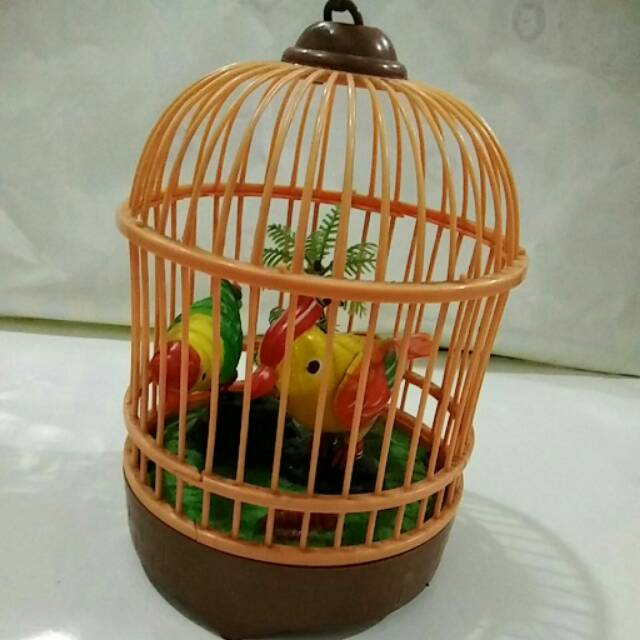 Jual Wisdom bird | Shopee Indonesia