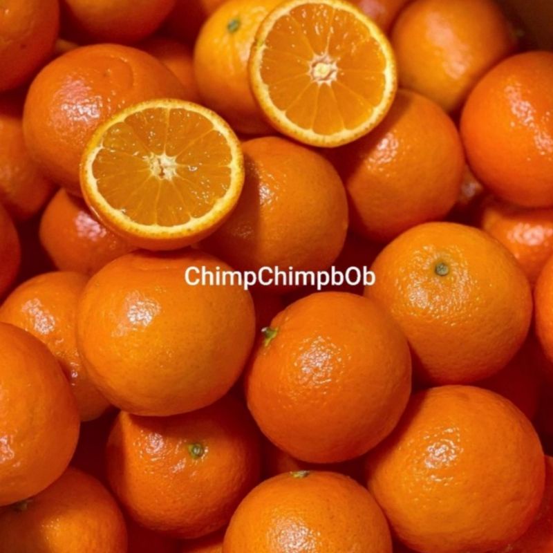 Jual JERUK MURCOT SEGAR MANIS 500 GRAM / SWEET MURCOT ORANGE 500 GRAM ...