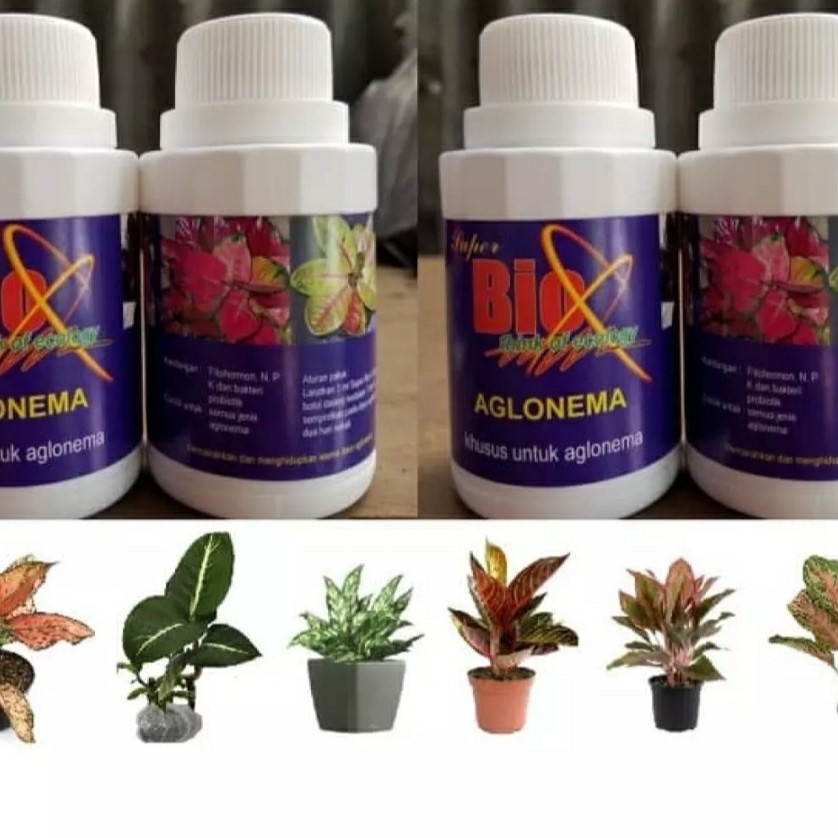 Jual Pupuk Bunga Tanaman Bio Aglonema 100 ml Fitohormon NPK Probiotik ...