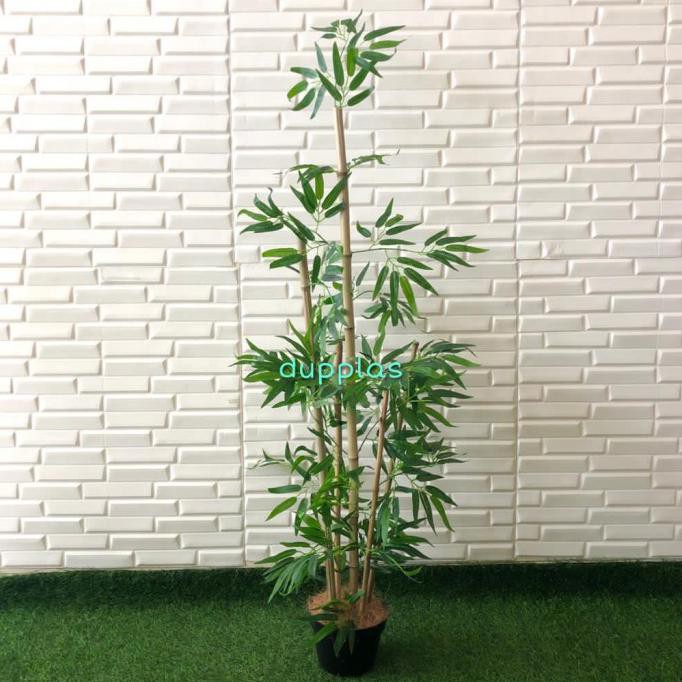 Jual Pohon Daun Bambu Hijau Kuning Latex Sabut Kelapa Pot Dasar ...