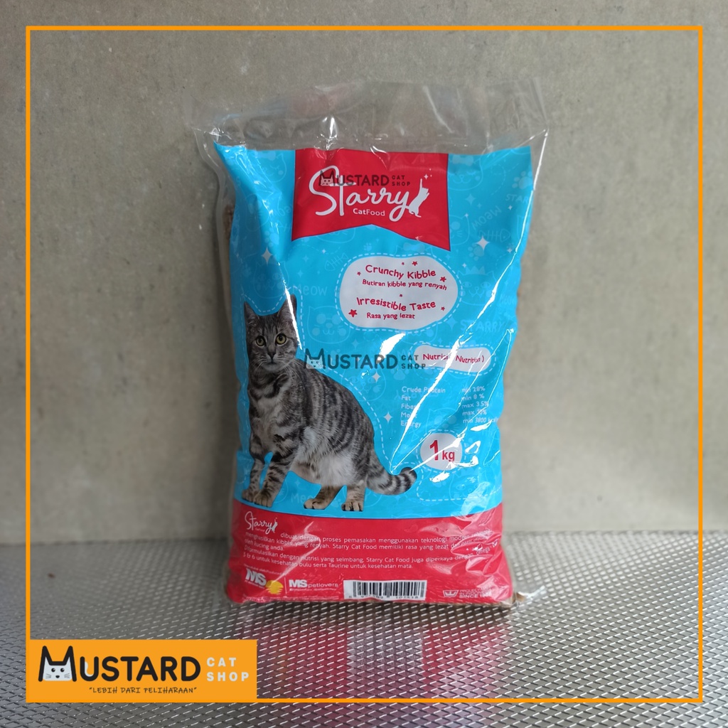 Jual Starry Cat | Shopee Indonesia