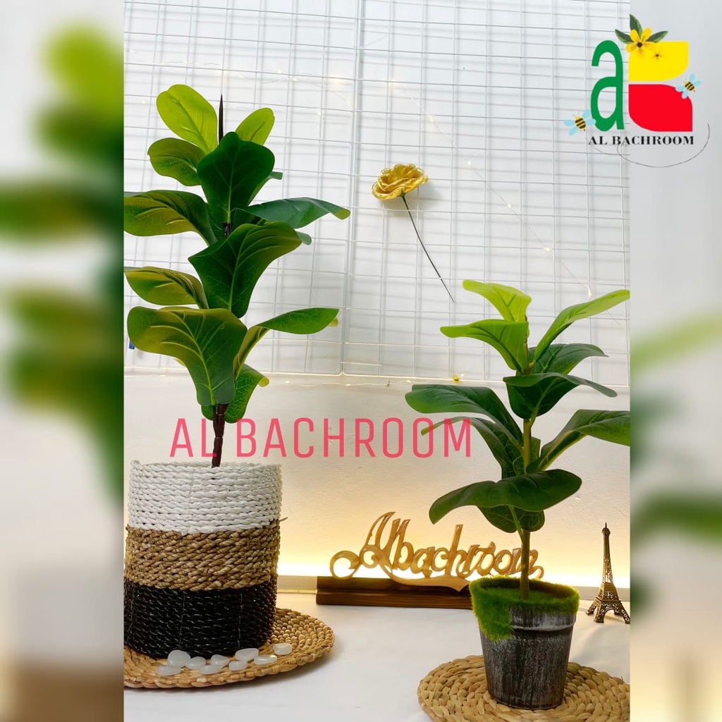 Jual TANAMAN PLASTIK DAUN KETAPANG MINI B8211 D9 DAN D15 BUNGA ...