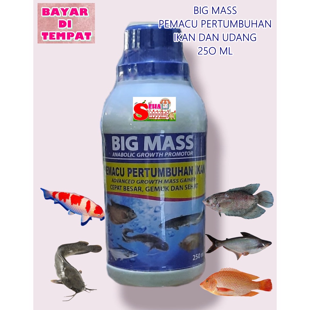 Jual Obat Ikan Vitamin Ikan Multivitamin Ikan Lele Bawal Nila Patin ...