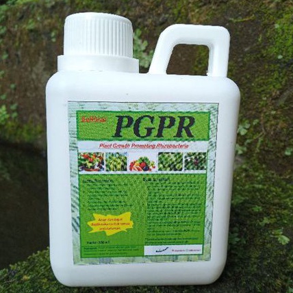 Jual Pupuk Organik PGPR Pemacu Tumbuh Tanaman Plant Growth Promoting ...