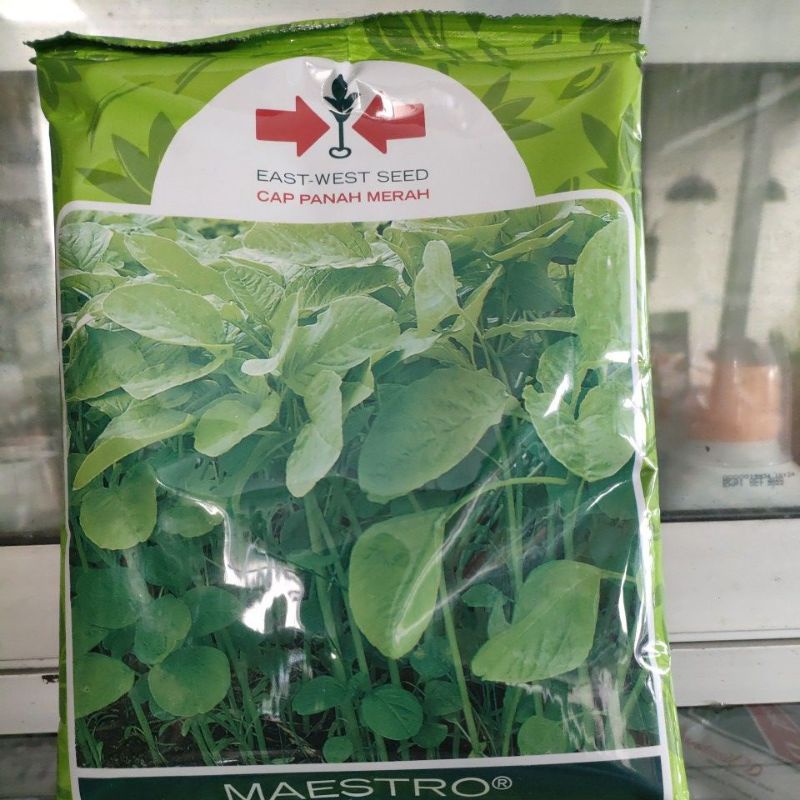Jual benih bayam maestro 500g | Shopee Indonesia