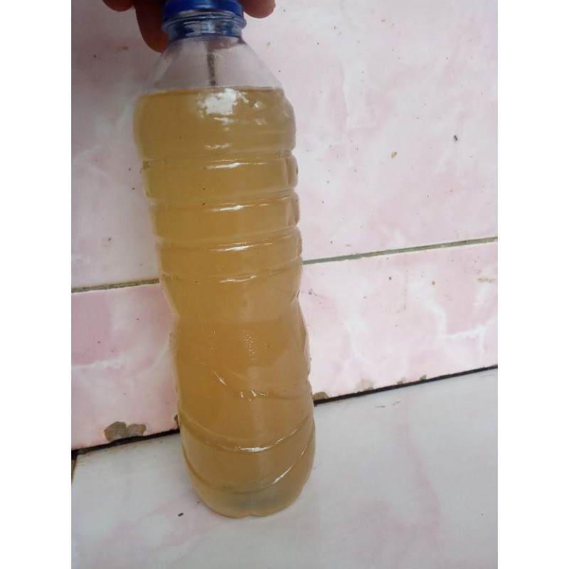 Jual air nira aren atau lahang asli 600ml | Shopee Indonesia Jual air nira aren atau lahang asli 600ml | Shopee Indonesia