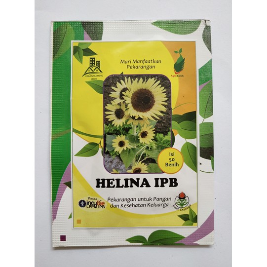 Jual Benih Biji Bunga Matahari HELINA IPB Pack - Dramaga | Shopee Indonesia