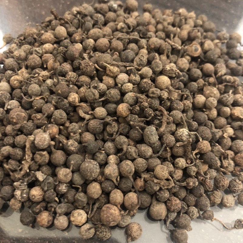 Jual Mative Pepper Uziza Seed Lada Afrika | Shopee Indonesia